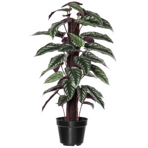 Potted Plants - Rogue